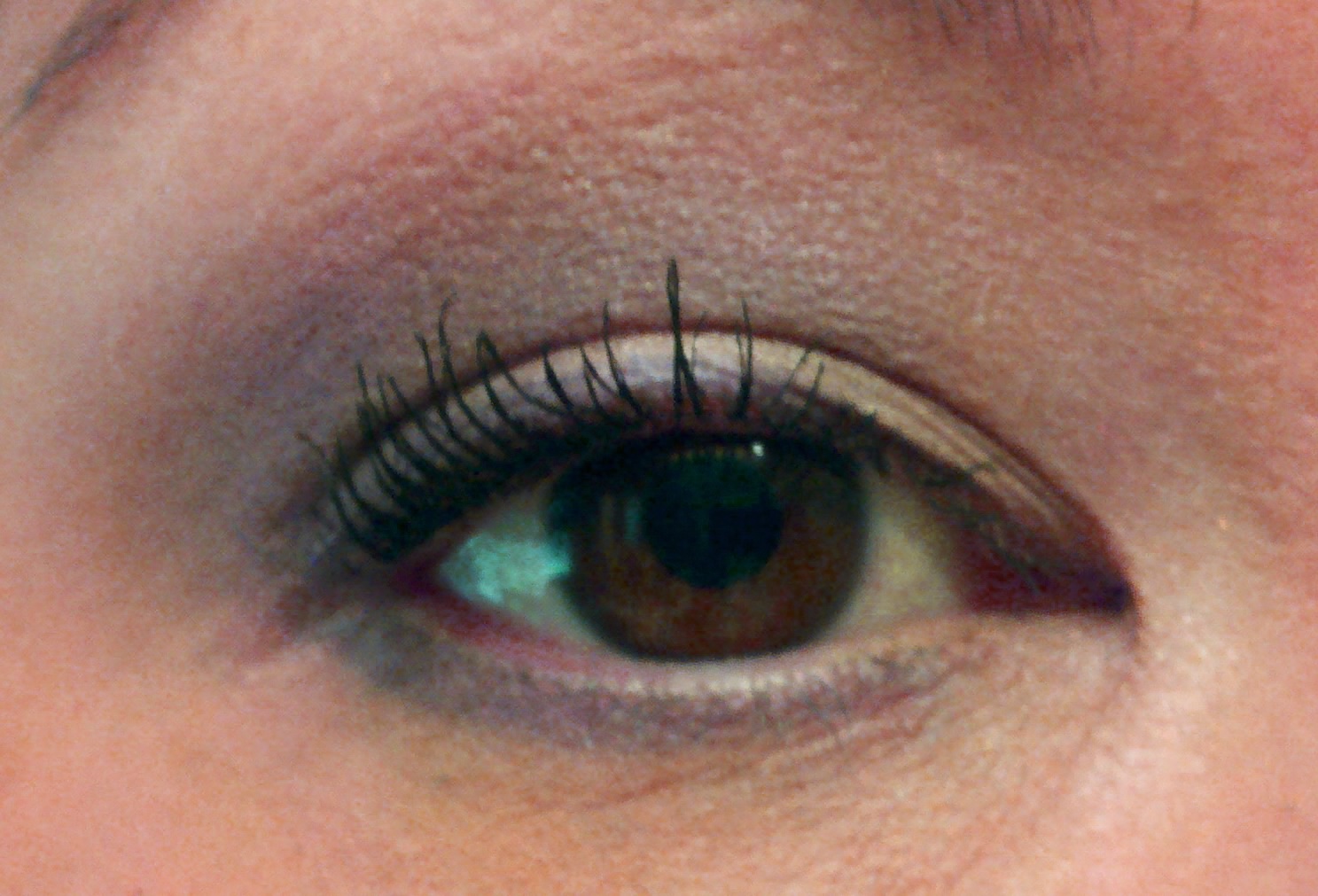 Beauty Byte: Cover Girl Berries & Cream Eye Look with Initial Review