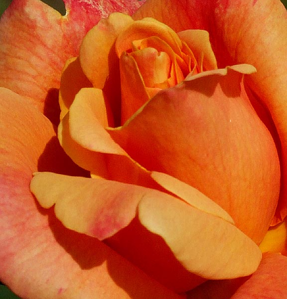 In Terms of Colour...: The natural Colour Orange