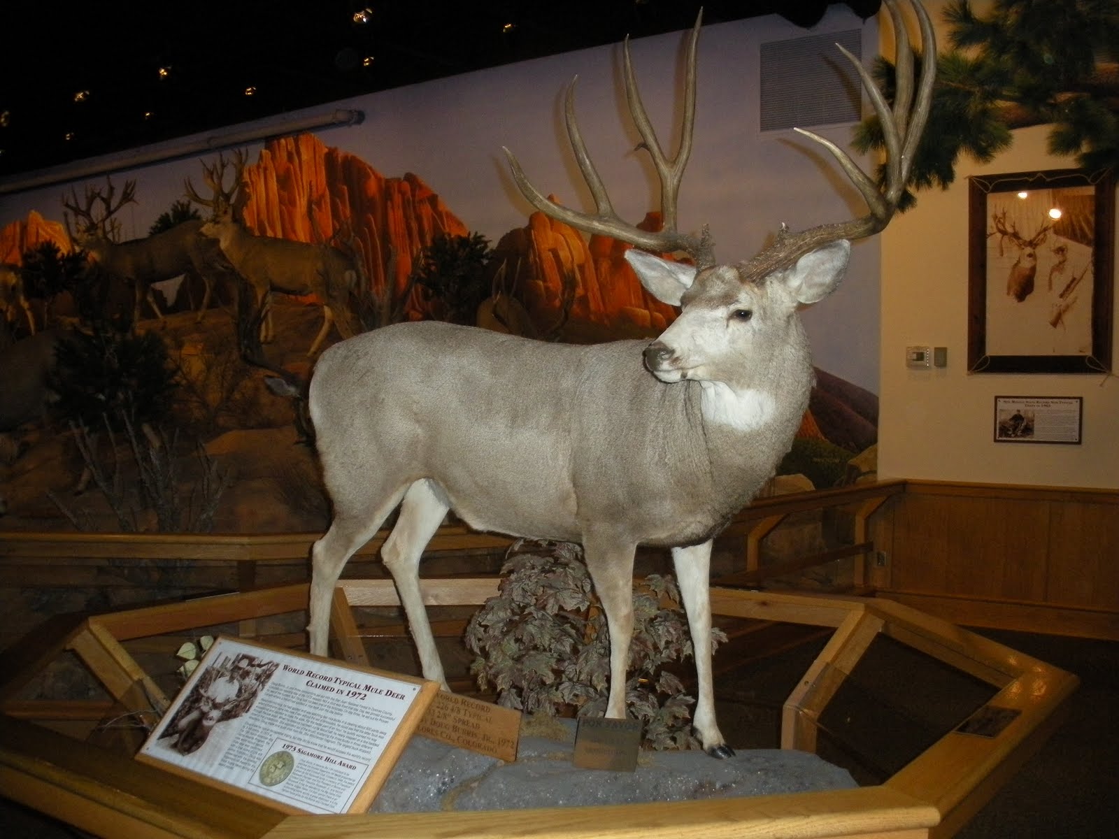 allegro wanderer: August 2010