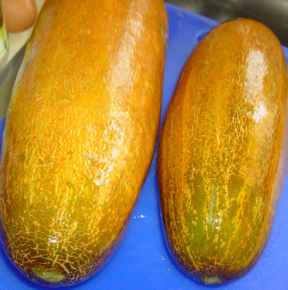 Blessed Homemaker: Old Cucumber Soup (老黄瓜汤)