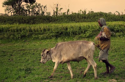 bongaon: Bongaon the Green Town