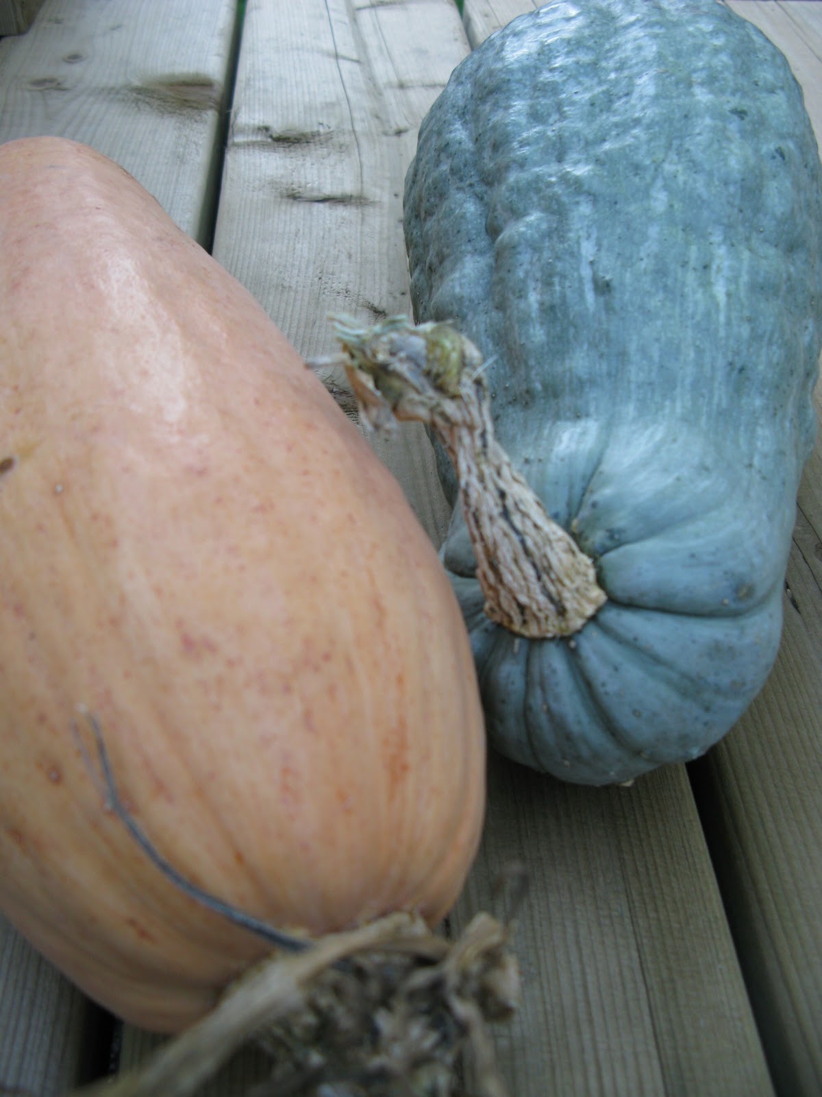 Au gré du marché: Frites de courge Hubbard bleue au curry