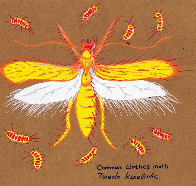 I (used to) blog every day: Another Amelia's Magazine illustration ...