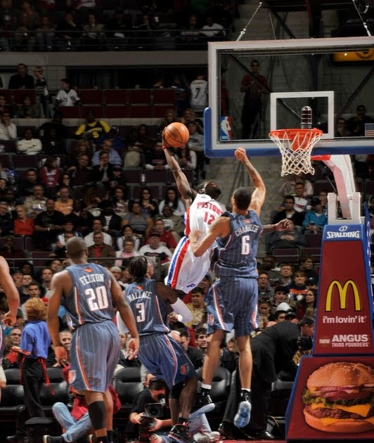 You Got Dunked On: 2009-2010 NBA Regular Season: Will Bynum Dunks On ...