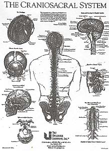 Craniosacral therapy