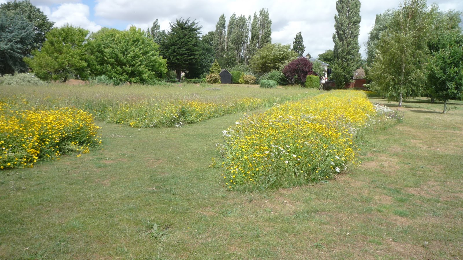 Narrowboat Caxton: July 2010