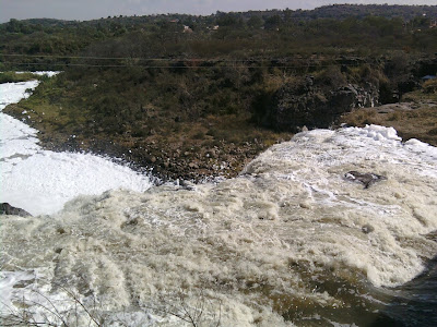 "Bien" tapatíos: Infame contaminación del Río Santiago