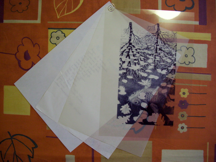 Quello che mi capita: Trasparente