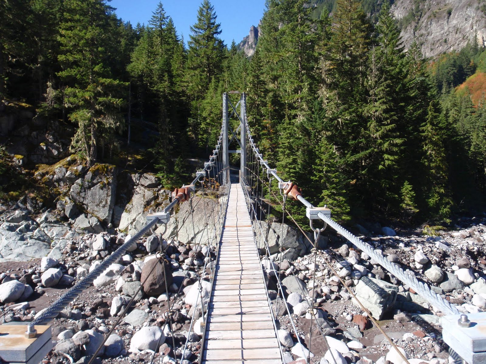 Visit Rainier: Discover Mt. Rainier's Carbon River Area