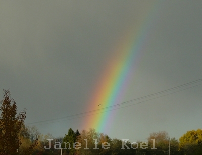 Jah Loodusele!: Vikerkaar