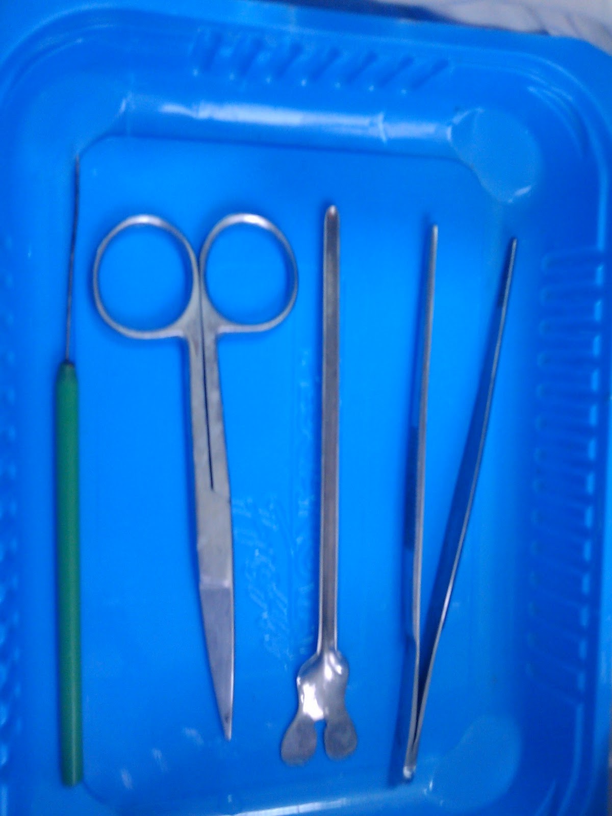 biologia eso2 laia tarrés