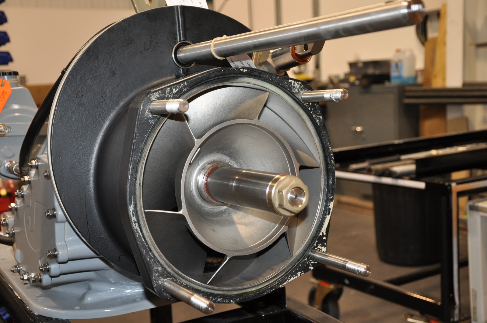 South Georgia Journal 2012: Jet Setter