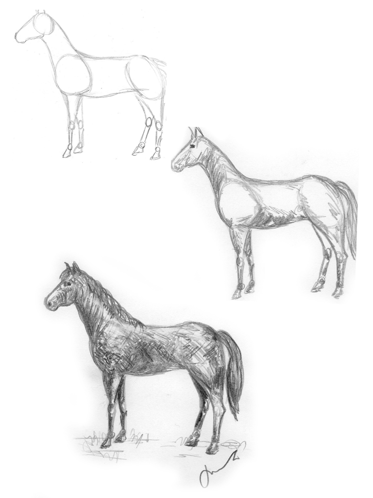 Jak narysować konia? - Zapytaj.onet.pl