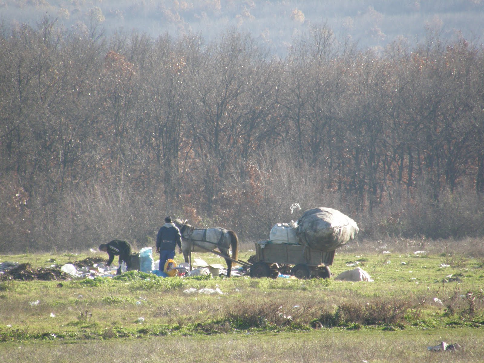A New Way Of Life The Bulgarian Gypsy