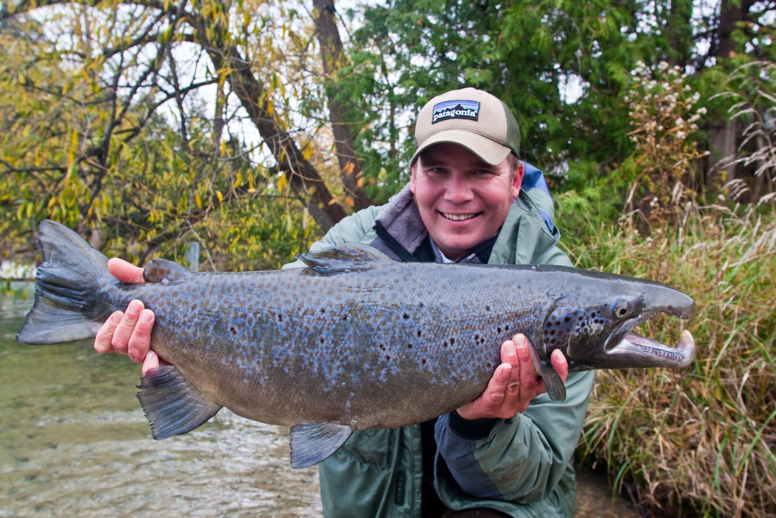 ACS - the FISHDOG: Great Lakes Atlantic