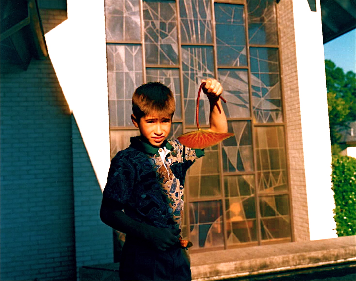 William GREINER: December 2010