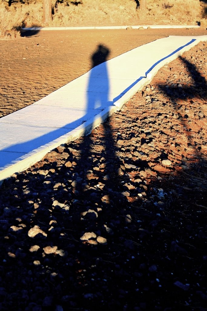Ford Family Photos: Shadow Shot Sunday / Shadows at Sunset Crater, Arizona