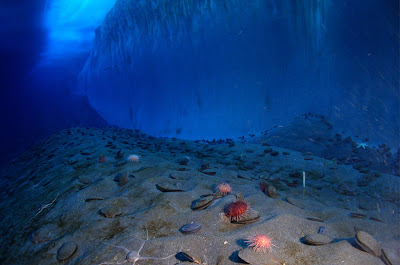 no title: The Unseen Antarctica's Beauty