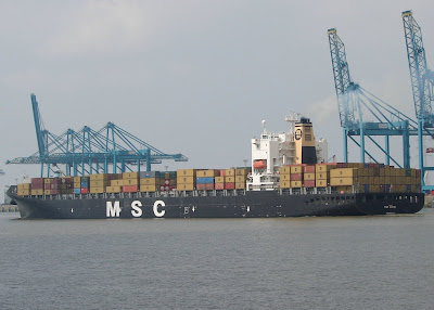 MSC Ships: MSC S...