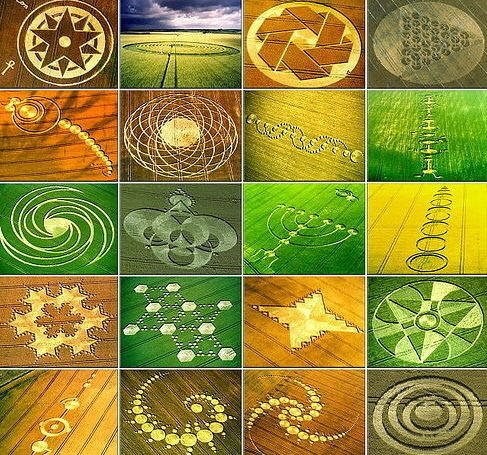 Who is making these Crop Circles ? - Psychedelic Adventure