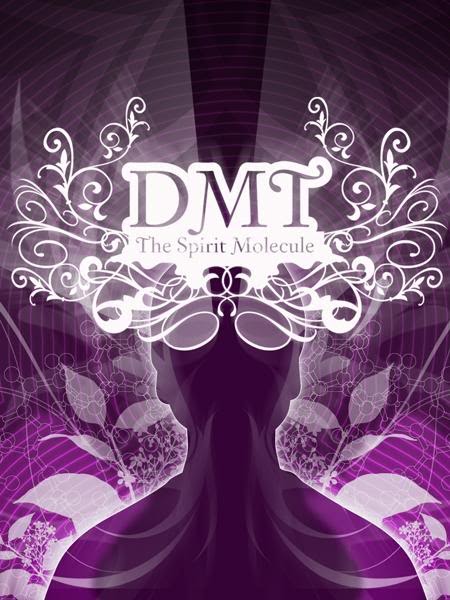 DMT : The Spirit Molecule Documentary - Psychedelic Adventure