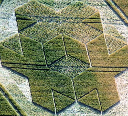 Crop Circle Season: Crop Circle Season 2010 : July Formations