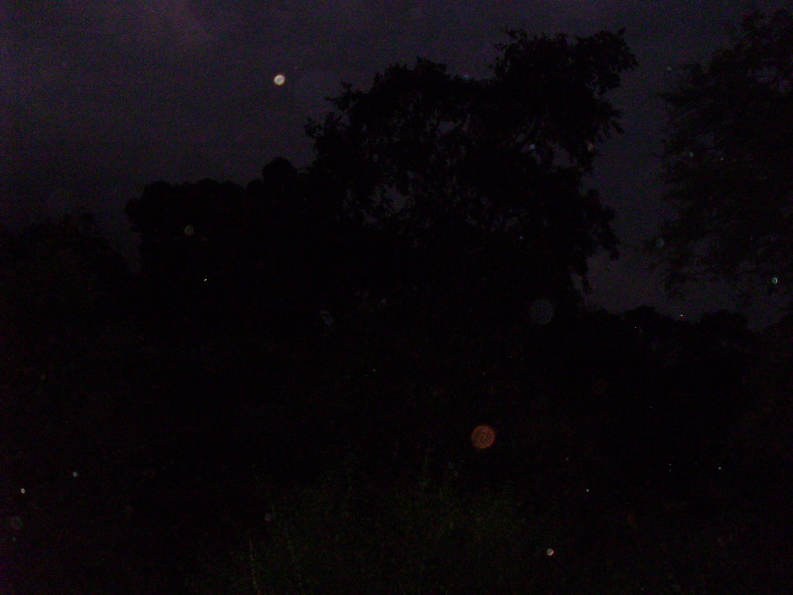 Orb Photography : Manifesting Love, Spiritually ! - Psychedelic Adventure