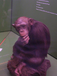 My Great Adventure into Web 2.0...