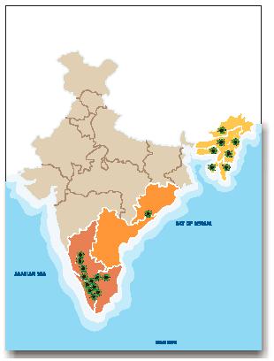 .: COFFEE PRODUCTION IN INDIA
