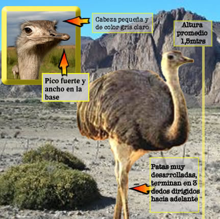 VALCHETA net: Atractivos Turisticos