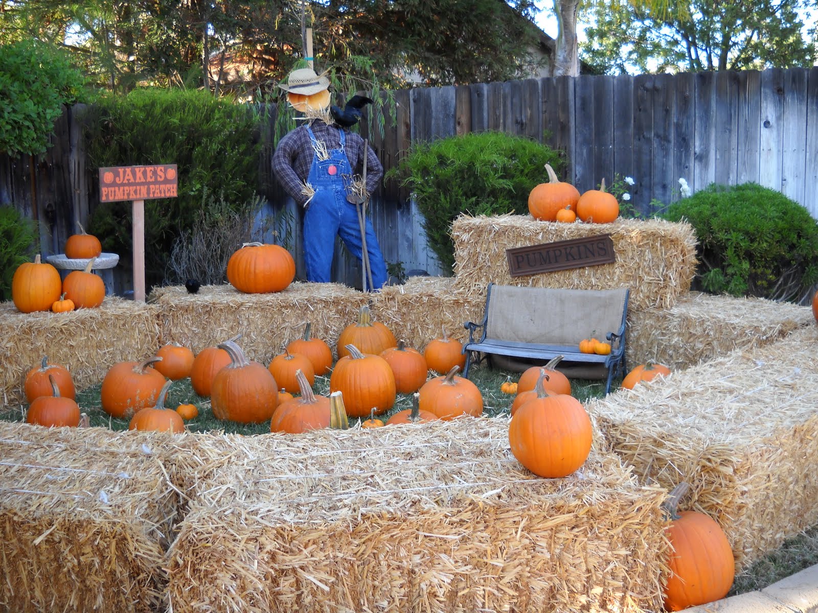 rosespetitemaison: Baby Jake's First Birthday or Pumpkin Extravaganza
