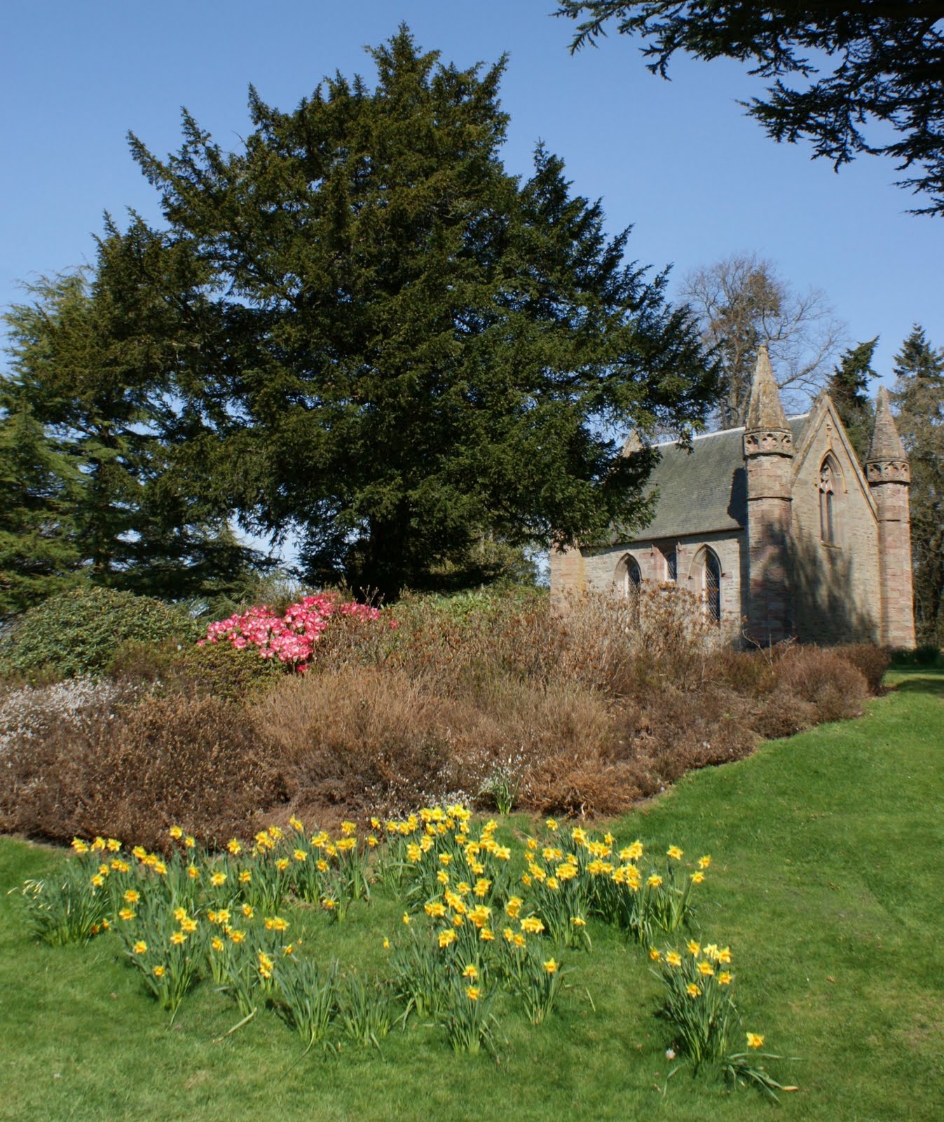 Tour Scotland: April 16th Photograph Parkland Scotland