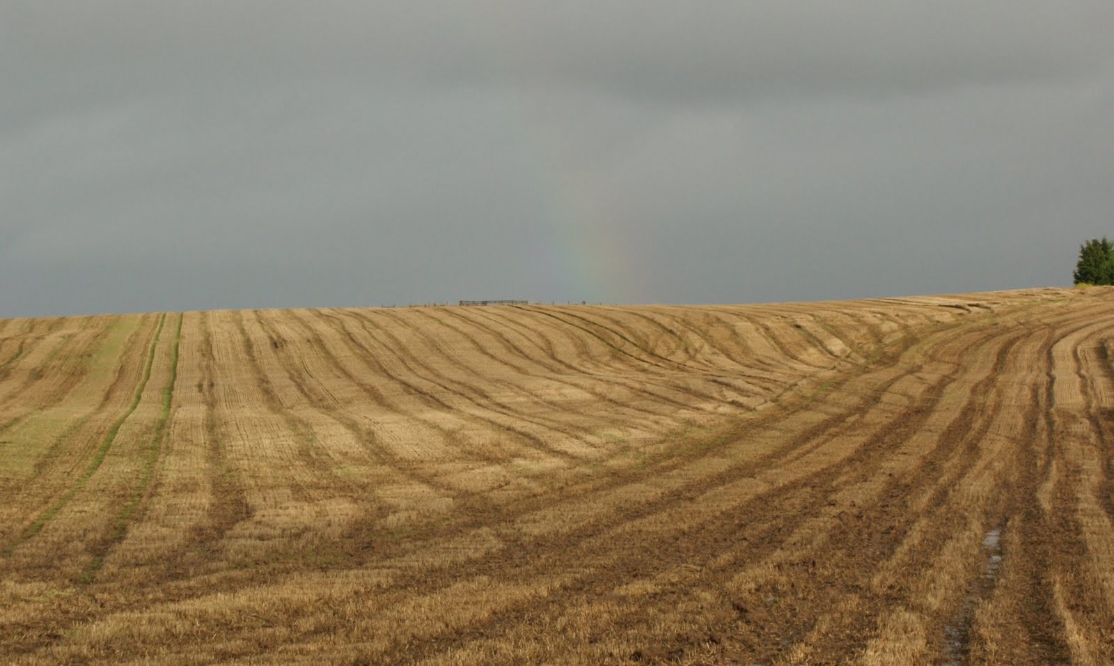 Tour Scotland: November 26th Photograph Fading Rainbow Scotland