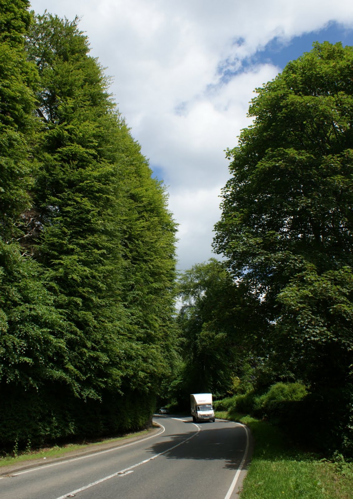 Tour Scotland: June 17th Photograph Meikleour Beech Hedge Perthshire ...