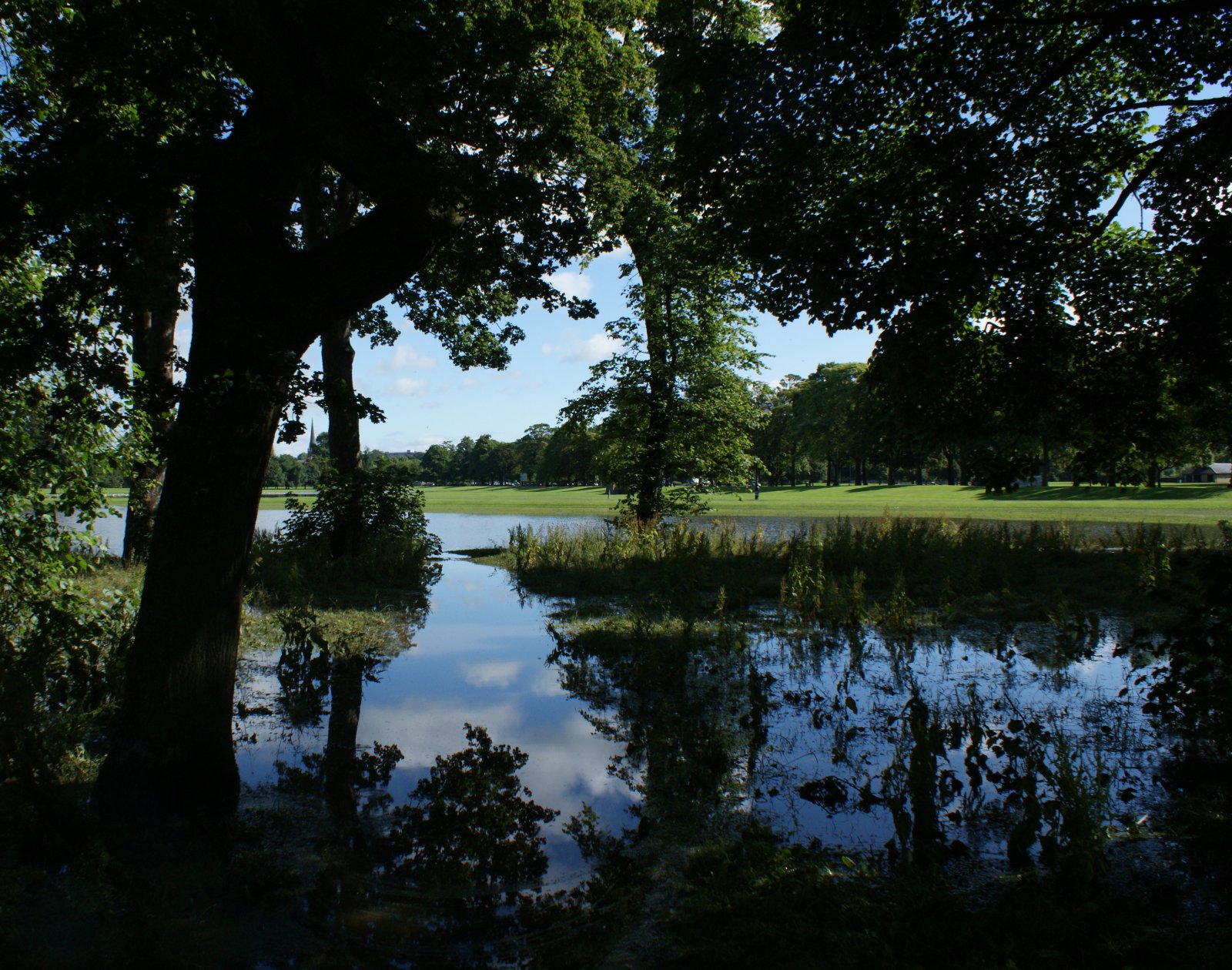 Tour Scotland: July 22nd Photograph Trees South Inch Perth Scotland