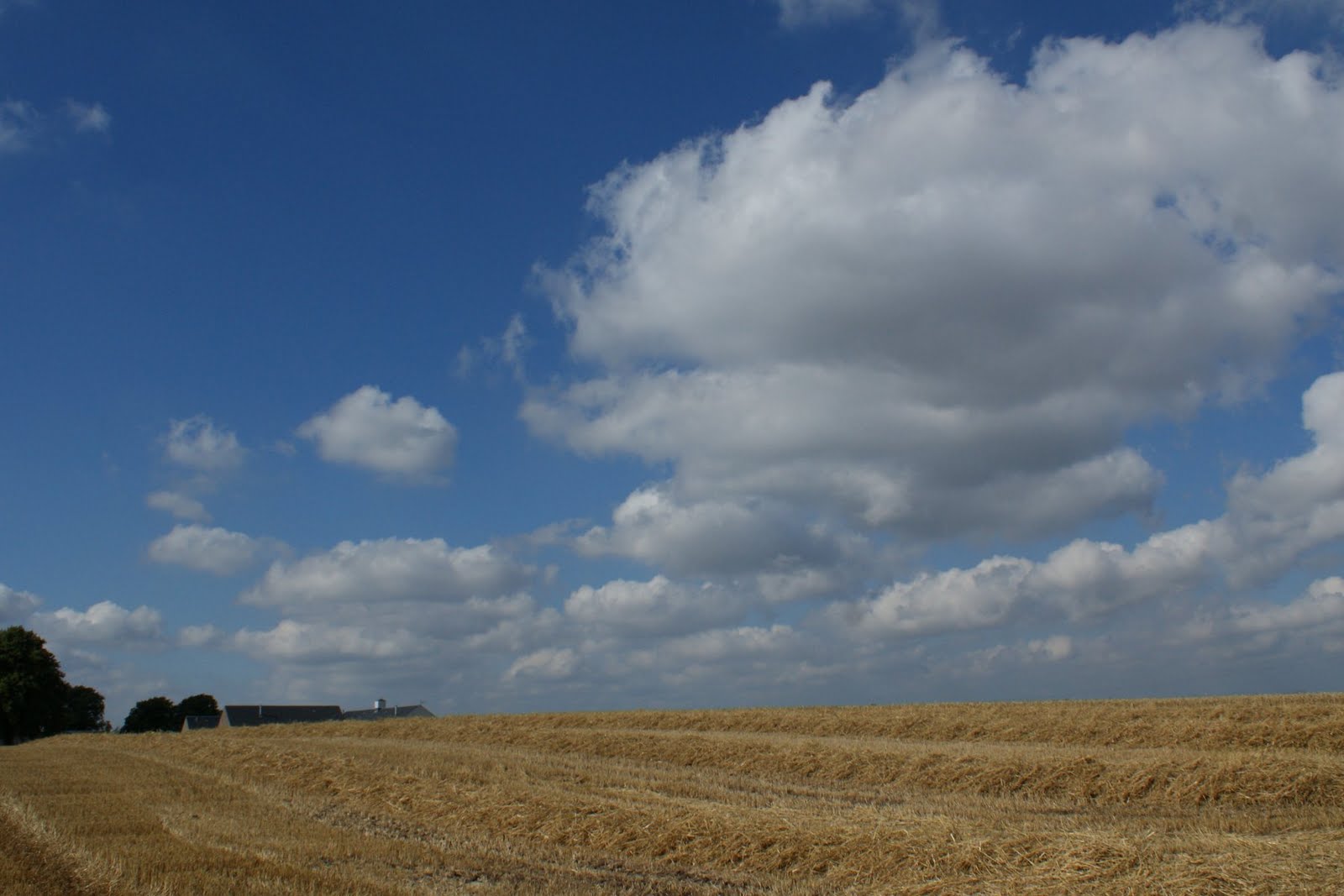 Tour Scotland: September 2nd Photograph Field Scotland
