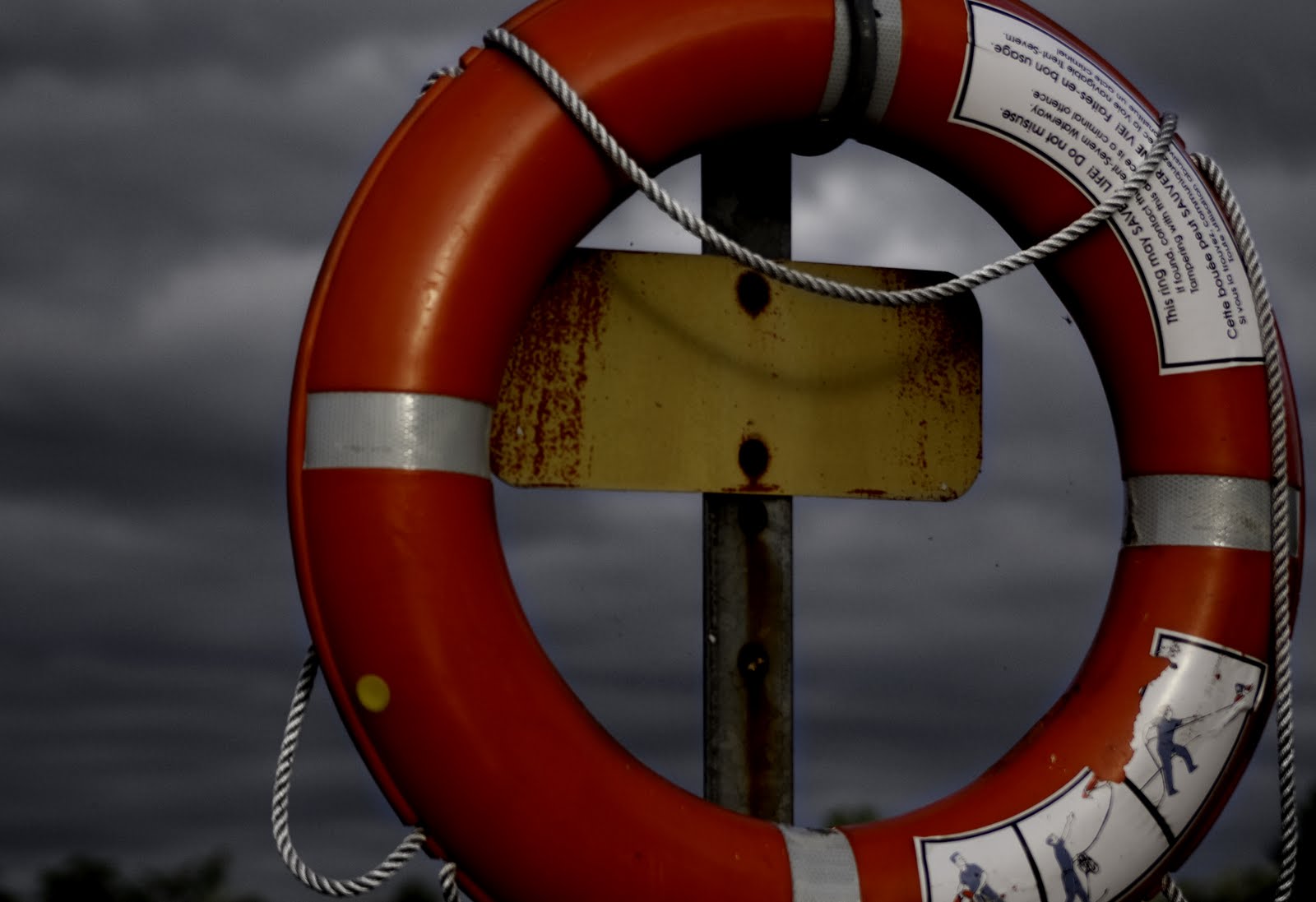 Design by Cassandra: Wordless Wednesday Special Edition, Issue #12: Dan ...