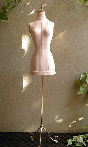 Design by Cassandra: The Dress Form Search Continues!