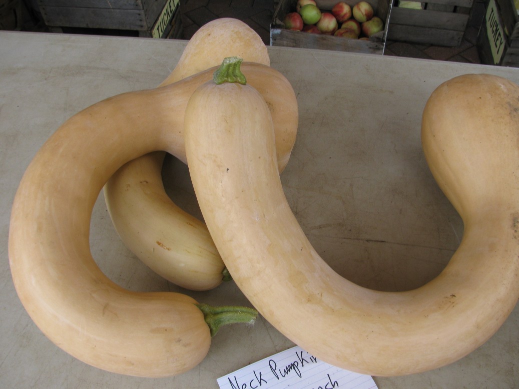 The Crooked Stamper: Market Update