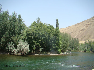 mehrazan: Iran Isfahan Chadegan_Najafabad roud ZAYANDEROOD