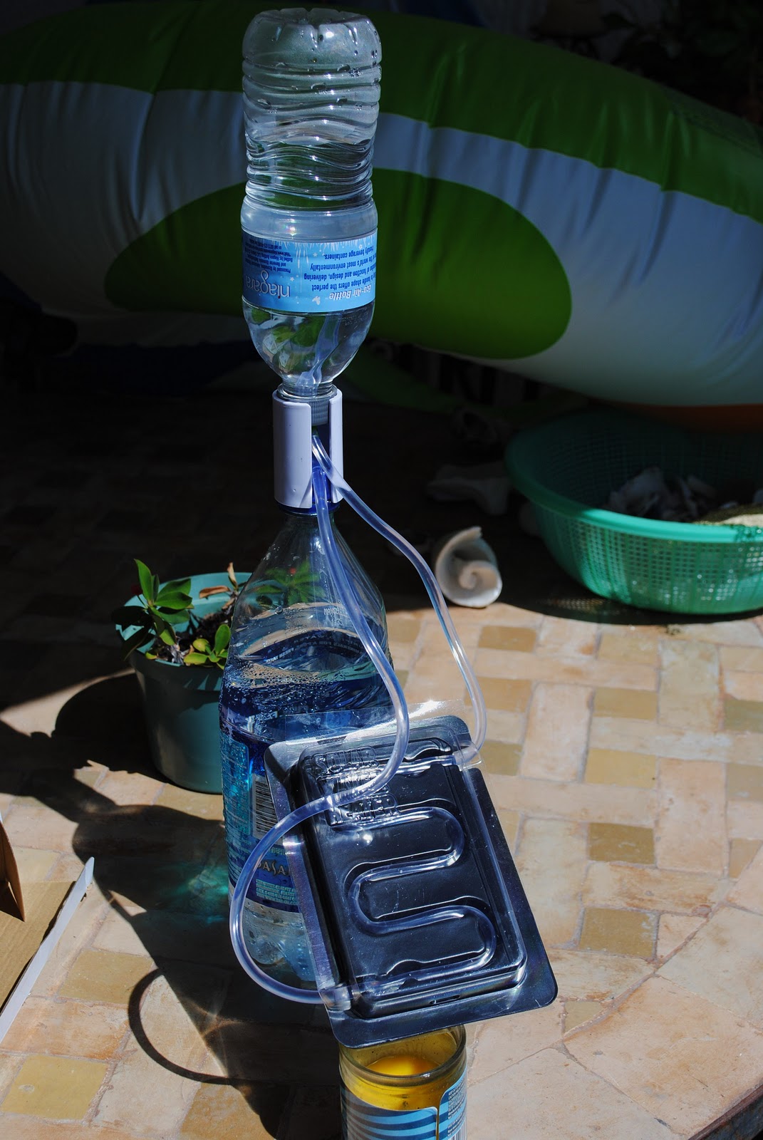 Island Time: Science Projects