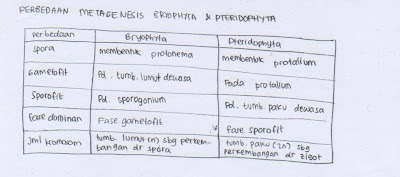 BIOLOGI GONZAGA: CATATAN LUMUT - PAKU