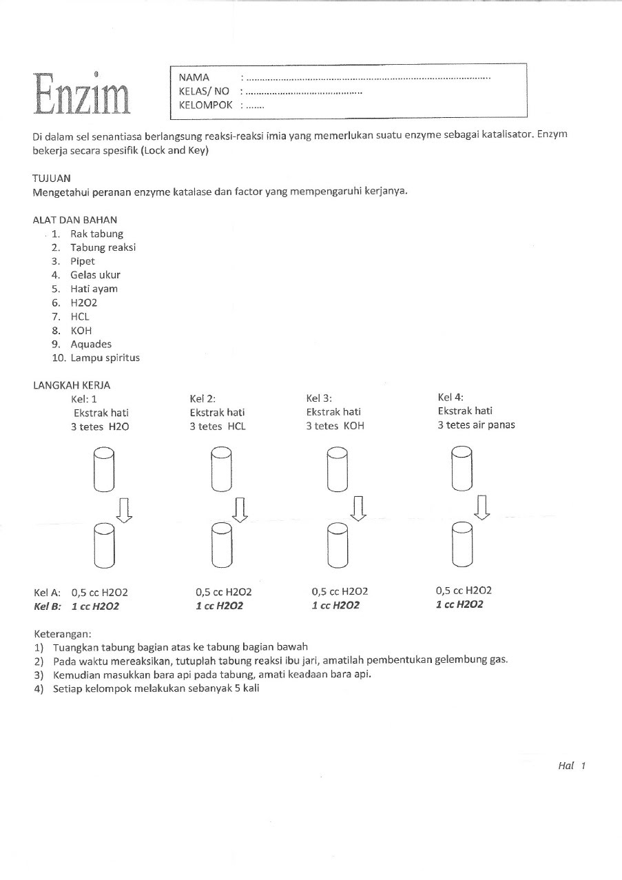 BIOLOGI GONZAGA: PERCOBAAN ENZIM KATALASE