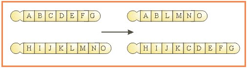 MUTASI TEORI - Biology Page