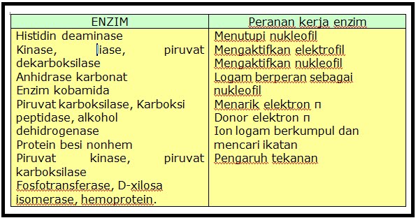 ENZIM DAN KARAKTERNYA | Berita Biologi