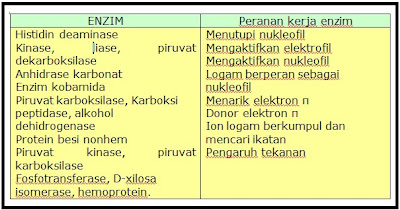 ENZIM DAN KARAKTERNYA | Berita Biologi