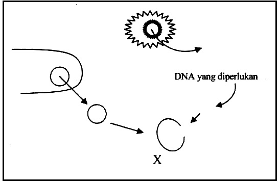 BIOLOGI GONZAGA: LATIHAN SOAL UN 2014 SERI A