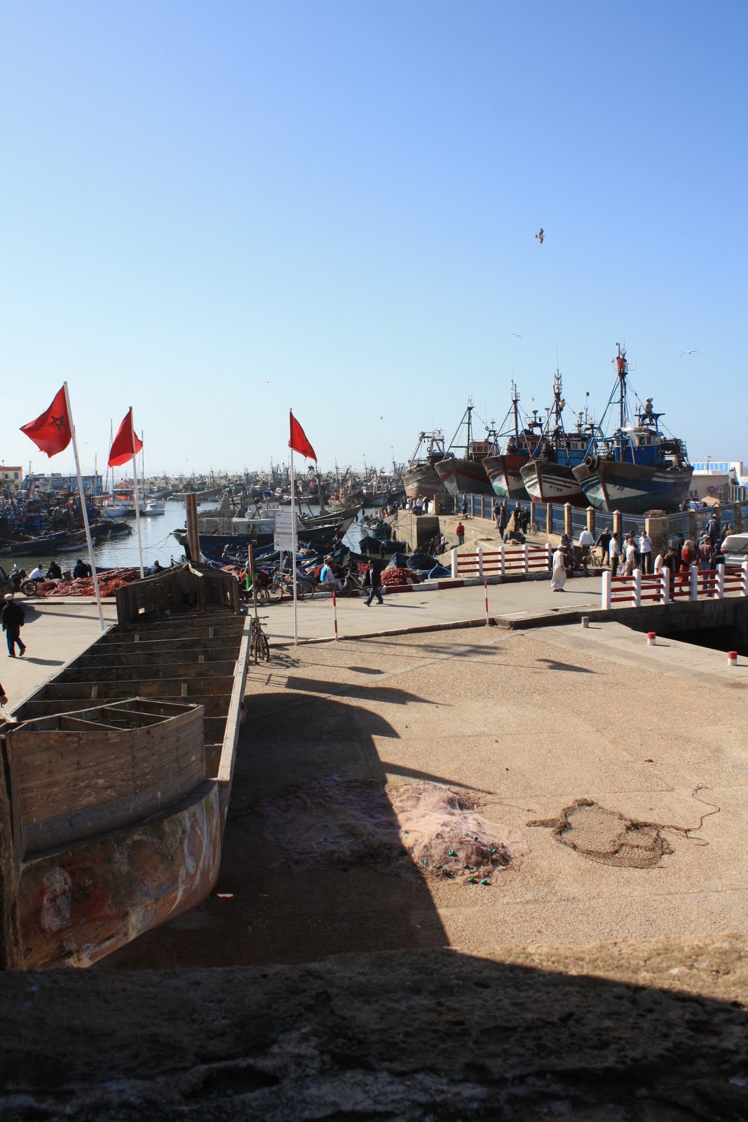 Kari Langslet: Life of a [former] NOMAD and [permanent] fashionista