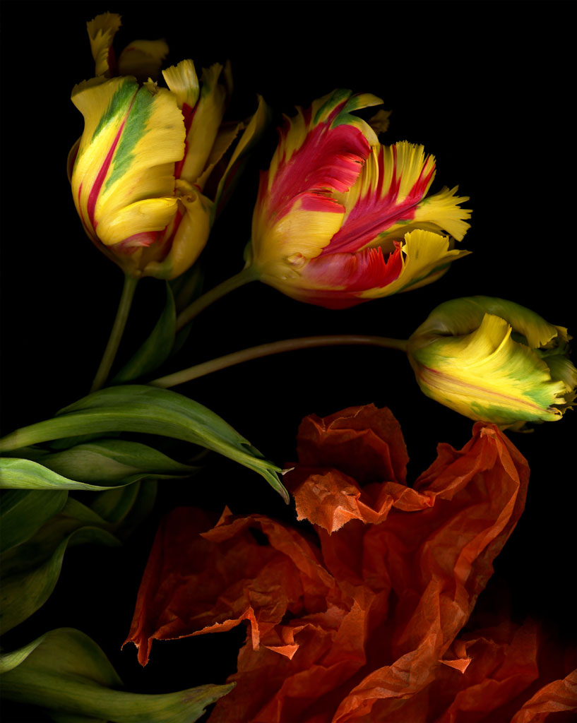 promenade culturelle