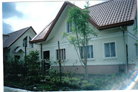 Warren Antig Biography